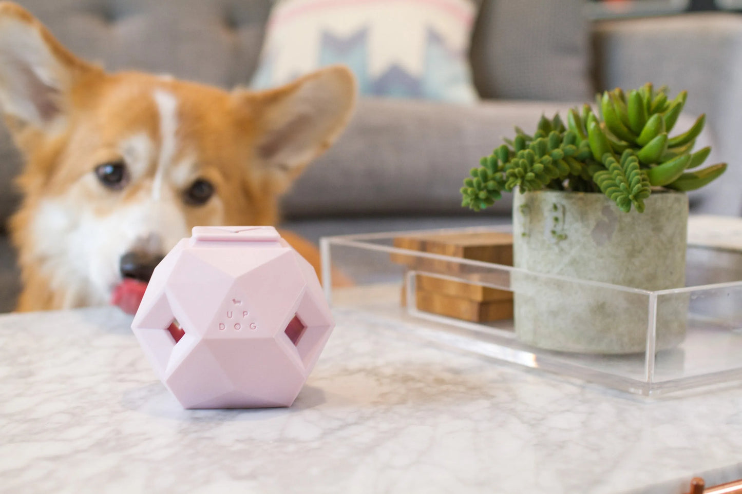 The Odin - Modern Treat Dispensing Dog Puzzle – Tuggit Toys