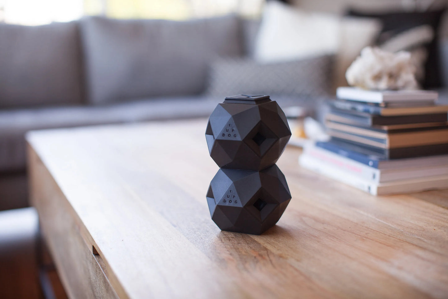The Odin - Modern Treat Dispensing Dog Puzzle – Tuggit Toys